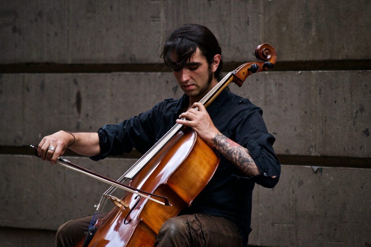 Cello Brands To Avoid: Consider 7 Ultimate Points in 2022 which you ...