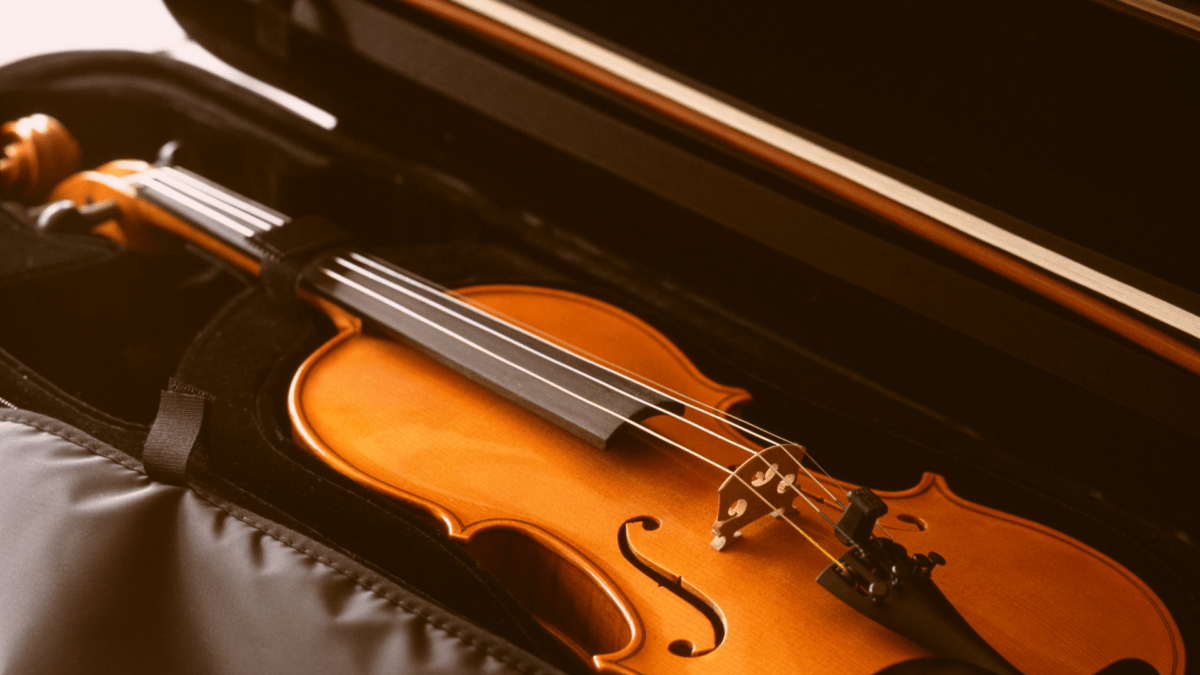 Top Five Exciting Cecilio Violin Reviews 2022 - Best Music Tool