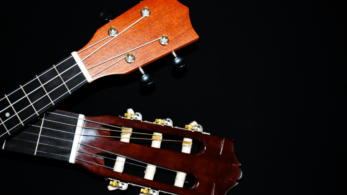 Types of Ukuleles: Which One You Should Buy - Best Music Tool