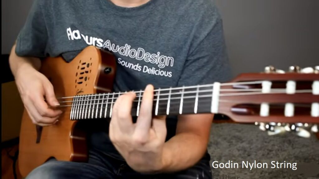 Godin Nylon String Guitar - Best Music Instruments & Tools