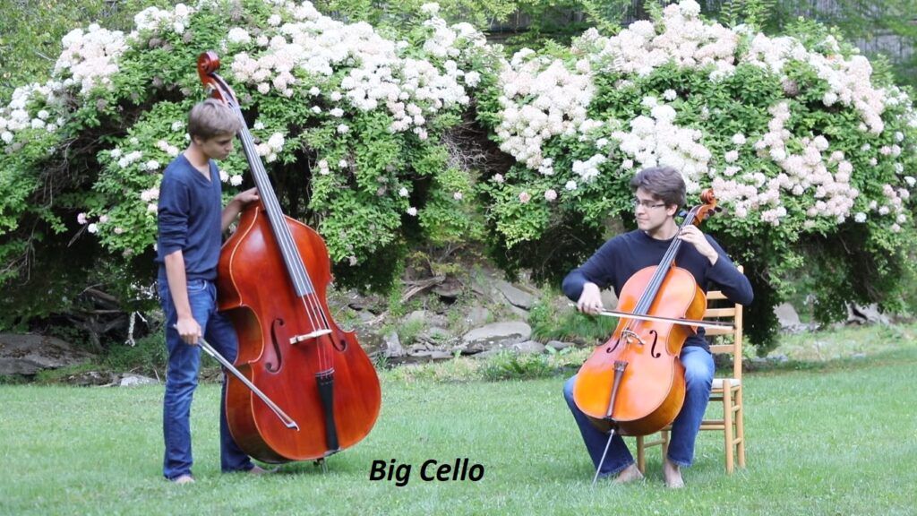 Big Cello - Best Music Instruments & Tools