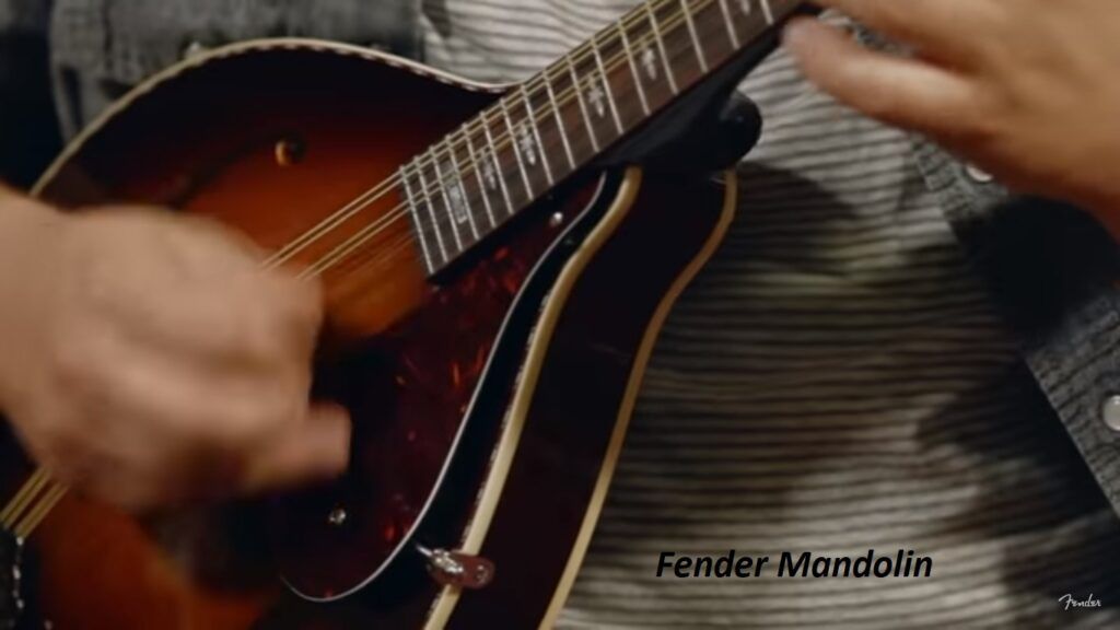 Fender Mandolin: Master the Art of Playing and Maintenance - Best Music ...